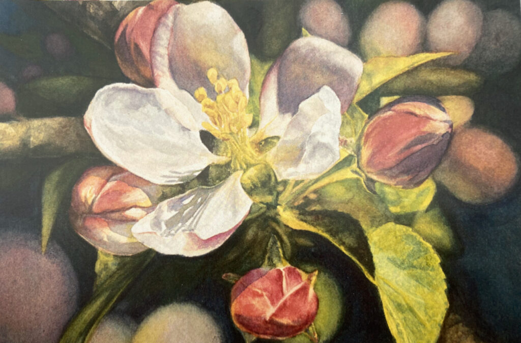 NFWS Spring 2023 Open Watercolor Exhibition